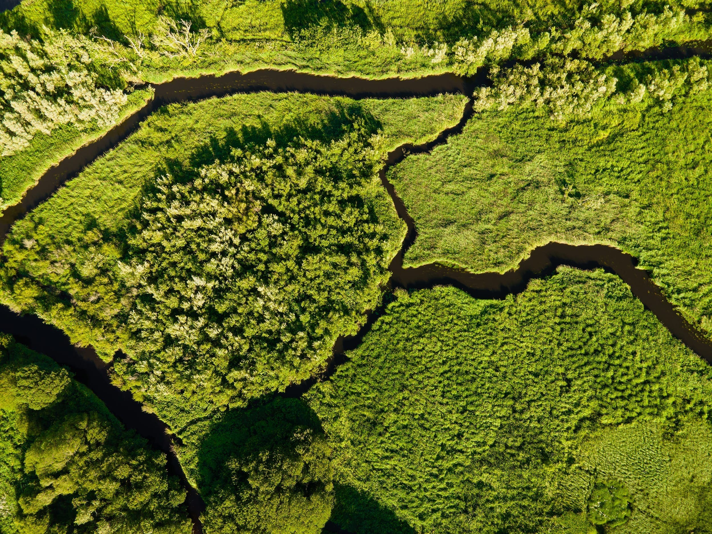 Environmental Standards Scotland (ESS) launched - Environmental ...